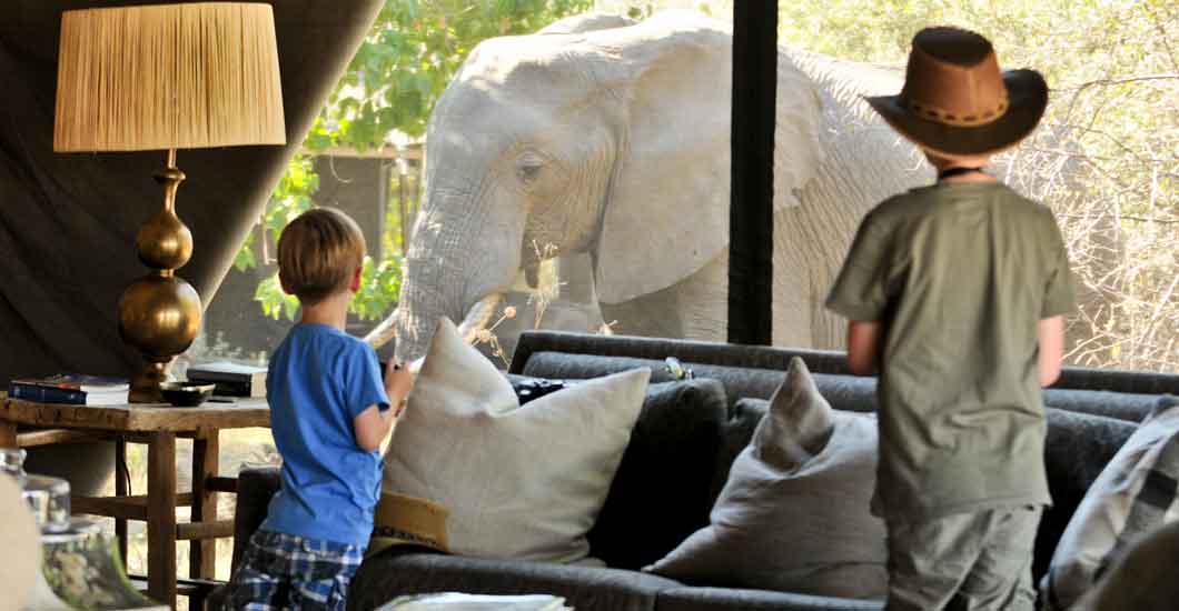10 Reasons to Take Your Kids on Safari | Bench Africa